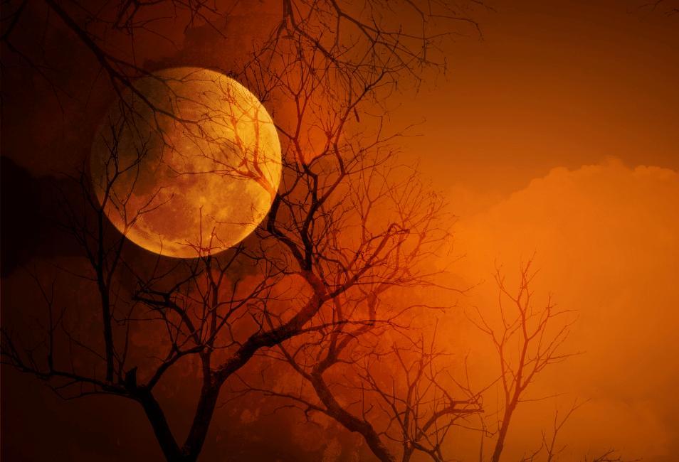7 Samhain Rituals for a Soulful Halloween | College of Psychic Studies