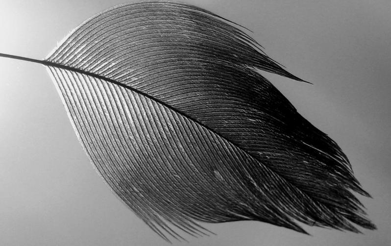 Archangel Seraphina and the Angels of Atlantis | College of Psychic Studies