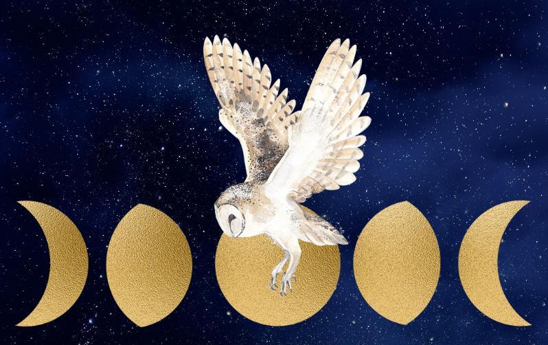 Why Work Magically with the Moon | College of Psychic Studies