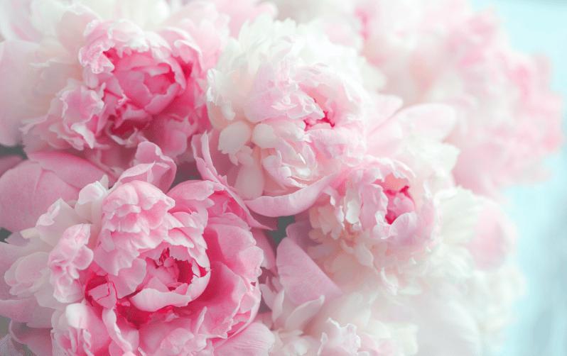 Using the Inner Senses | College of Psychic Studies