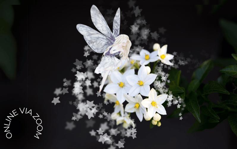 Faerie Quest: Understanding the Fae Folk | College of Psychic Studies