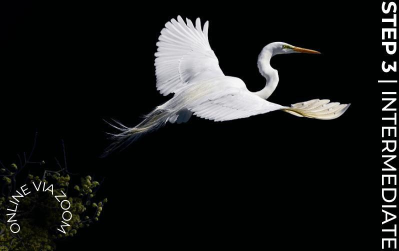 College of Psychic Studies Courses | Find A Course Today