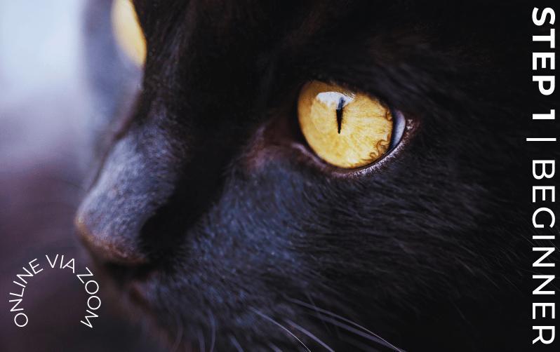 College of Psychic Studies Courses | Find A Course Today